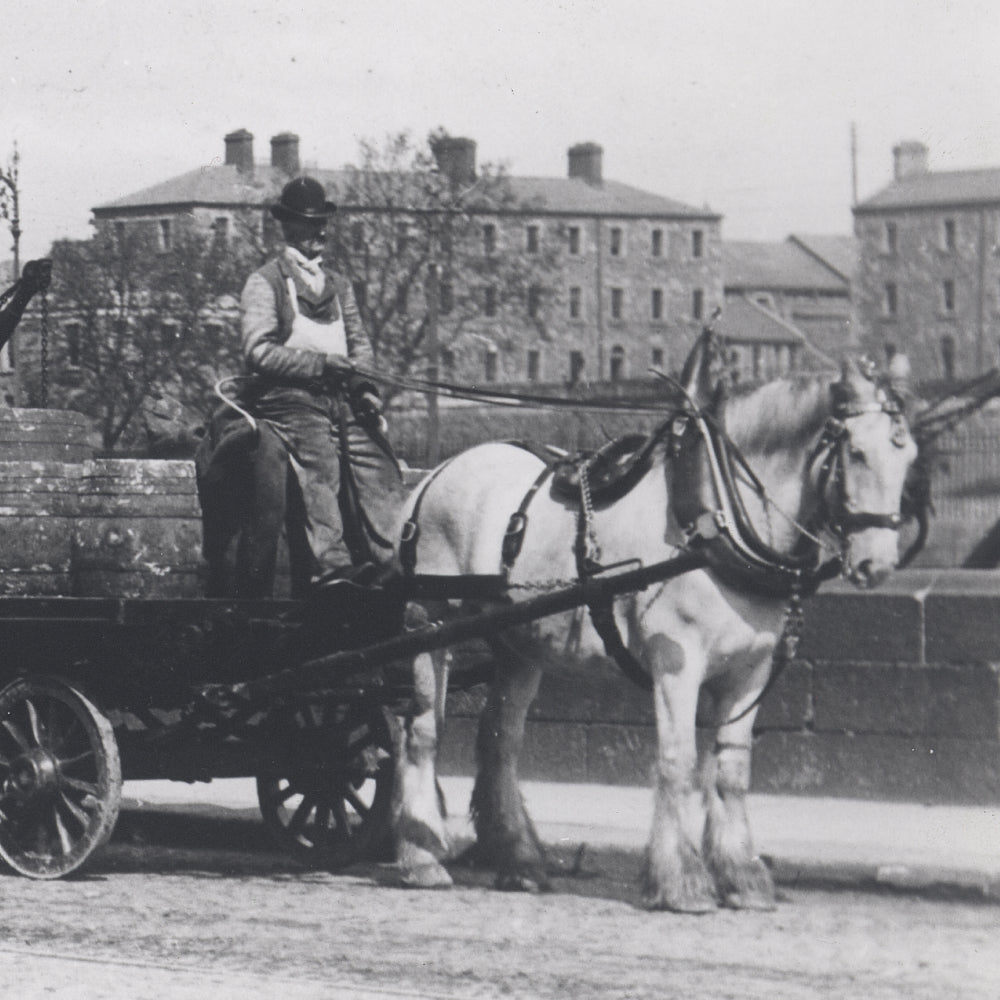 Transport Collection – Guinness Webstore US
